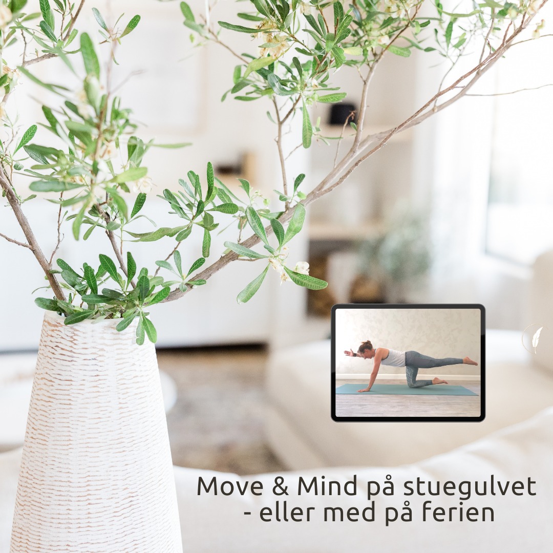 6 af mine mest populære programmer med yoga, pilates og yin yoga - på ...